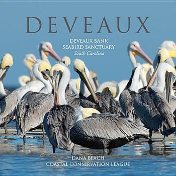 Deveaux: Deveaux Bank Seabird Sanctuary, South C