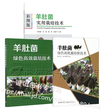 彩图版羊肚菌实用栽培技术+羊肚菌绿色高优栽培新技术 食用菌栽培书籍 名贵珍稀菇菌种植书 羊肚菌栽培菌