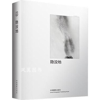 隐没地 王征 中国摄影出版社