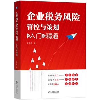 企业税务风险管控与策划(从入门到精通)