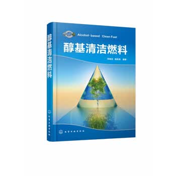 醇基清洁燃料