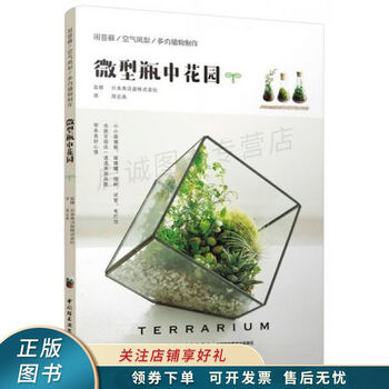 微型瓶中花园 周志燕
