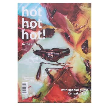 【包邮】订阅hot hot hot 艺术杂志 法国英文原版 年订2期原版