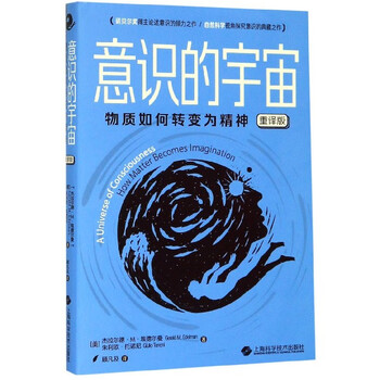 意识的宇宙(物质如何转变为精神重译版)