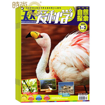天天爱科学 少儿阅读期刊2022年7月起订全年杂志订阅新刊1年共12期