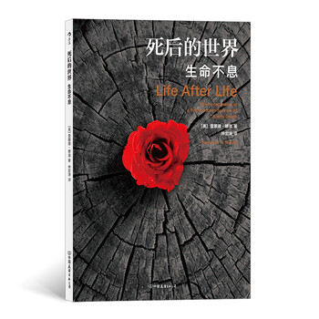 死后的世界(生命不息)