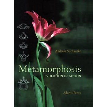 Metamorphosis: Evolution in Action