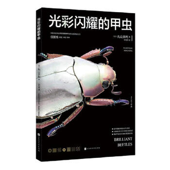 光彩闪耀的甲虫 丸山宗利 科普读物 9787569933994