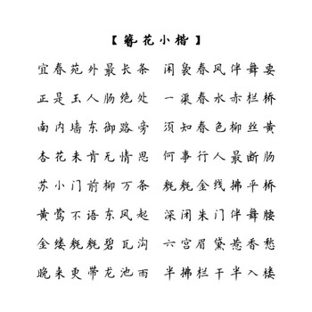2022年公务员申论范文考试字帖国考公考行书楷书临摹钢笔练字帖 簪花小楷套餐二：具体见详情页