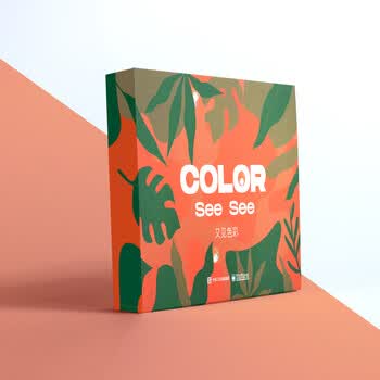 COLOR See See又见色彩 庄亮 电子工业出版社 9787121415258