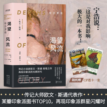 渴望风流：毕沙罗传（传记大师欧文·斯通代表作！宁浩说“这是对我影响极大的一本书”）