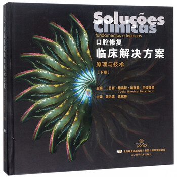 口腔修复临床解决方案原理与技术(下卷)(精)