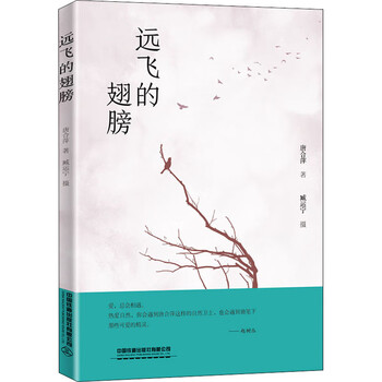 远飞的翅膀