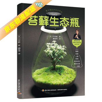 新手阳台种菜 苔藓生态瓶