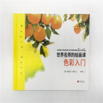 世界名师的绘画课：色彩入门【正版图书】