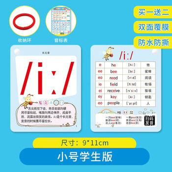 【老师推荐】拍一发二 48个英语国际音标卡片点读可读发音七年级小学生初中生大号教具. 48张国际音标卡【学生版】（限时送音标表）