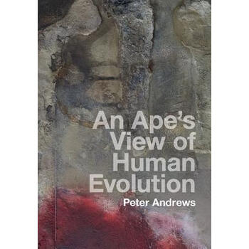An Ape's View of Human Evolution