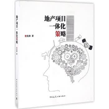 地产项目一体化策略