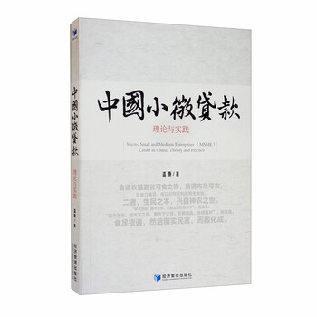 正版 中国小微贷款：理论与实践9787509670088