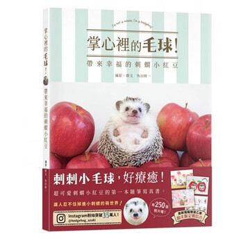 现货台版 掌心里的毛球 带来幸福的刺猬小红豆收录过250张萌小刺猬照片饲养要诀照片拍摄方