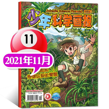 少年科学画报杂志2022年6月新（另有预售及2021年往期可选）青少年小学初中生科普百科儿童过期刊【单本】 2021年11月