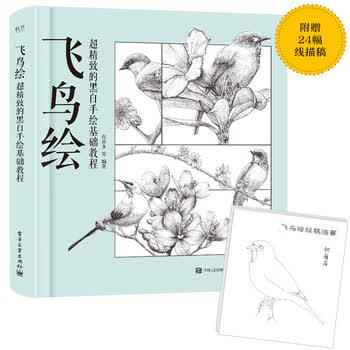 飞鸟绘 超精致的黑白手绘基础教程