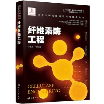 现代生物质能高效利用技术丛书：纤维素酶工程（精装）