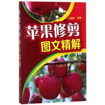 苹果修剪图文精解