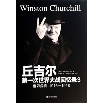 第一次世界大战回忆录(3世界危机1916-1918)(精)