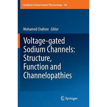Voltage-Gated Sodium Channels: Structure, Functi