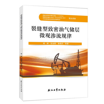 裂缝型致密油气储层微观渗流规律