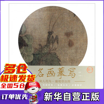 宋人花鸟(葡萄草虫图)/名画摹写