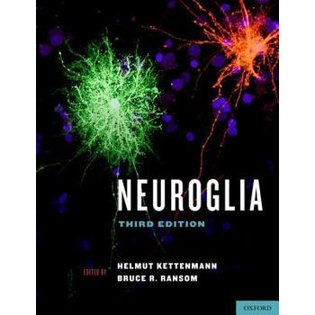 高被引Neuroglia (Revised)