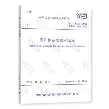 YS/T 5212-2019 灌注桩基础技术规程