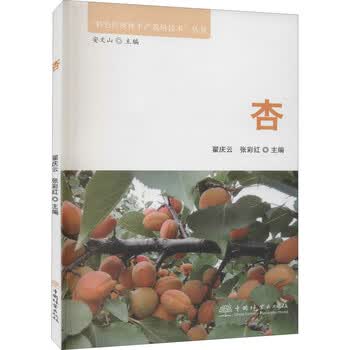 杏