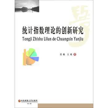 统计指数理论的创新研究任栋,王琦 著 