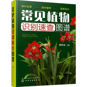 常见植物识别速查图谱