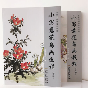 【全2册】小写意花鸟画教程上下册 传统水墨画技法详解皇甫秉钧著零基础美术绘画教材初级国画教材