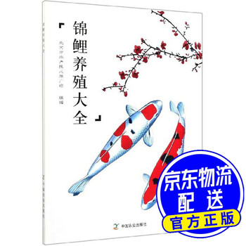 锦鲤养殖大全