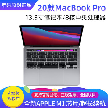 苹果Apple2020款MacBook Pro13.3英寸M1处理器笔记本电脑 13.3寸灰色 【定制20款】M1/16GB/1TGB固态【图片 价格 品牌 报价】-京东