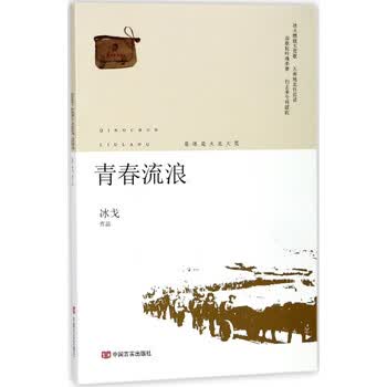 青春流浪