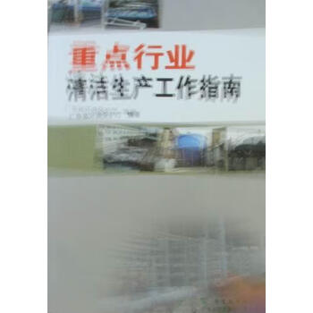 行业清洁生产工作指南 王大力 励志与成功 9787535954299