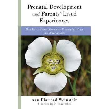 Prenatal Development and Parents' Lived Experie