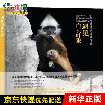 遇见白头叶猴(精)