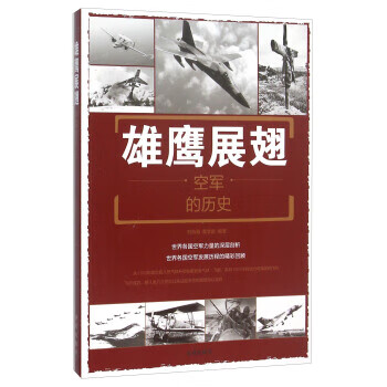 雄鹰展翅:空军的历史