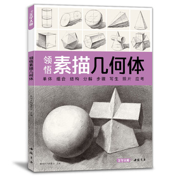 8开《领悟素描几何体》书籍临摹范本素描起步入门基础教程对画照片写生技法画册集美院联考美术高考名师教材