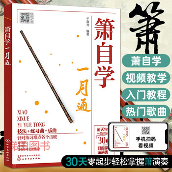 箫自学一月通 箫演奏基本技法 识谱练习基础乐理 箫吹奏方法技巧 萧洞箫吹奏演奏基础教材 歌曲曲谱乐曲
