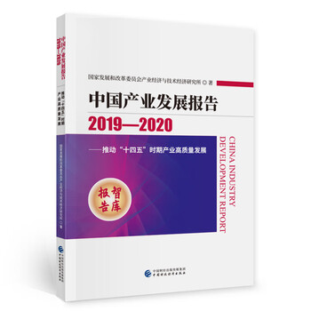 中国产业发展报告：2019-2020