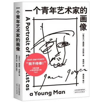 一个青年艺术家的画像
