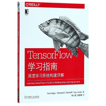 TensorFlow学习指南(深度学 统构建详解)